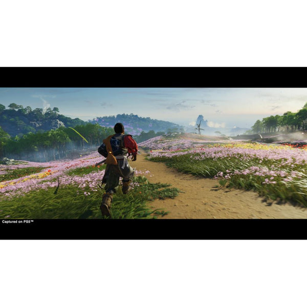 Ghost of tsushima ps4 store